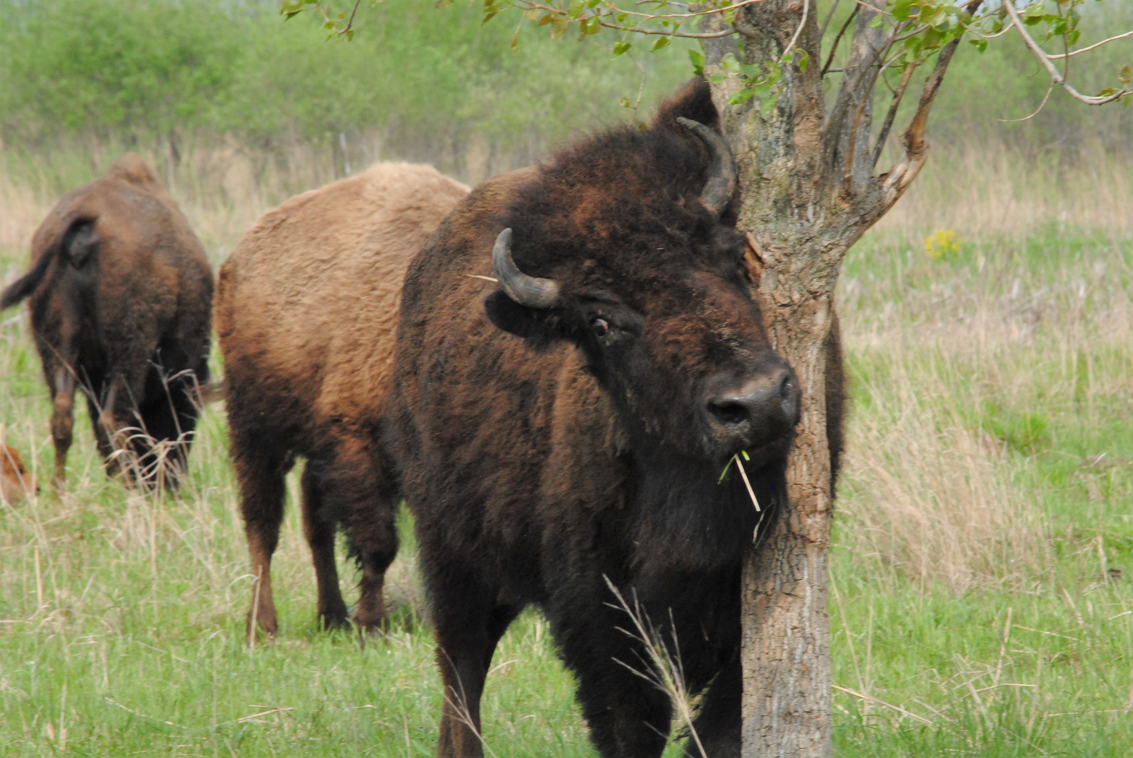 Shedding that Winter Coat – Friends of the Sands